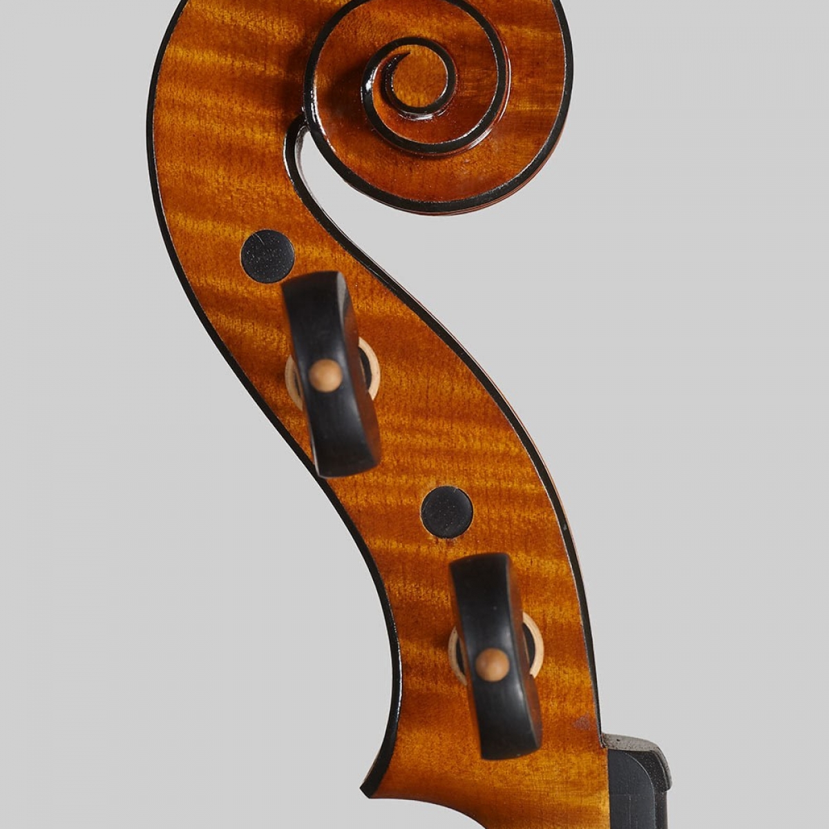 Nippon Violin - Francesco Toto Violinmaker